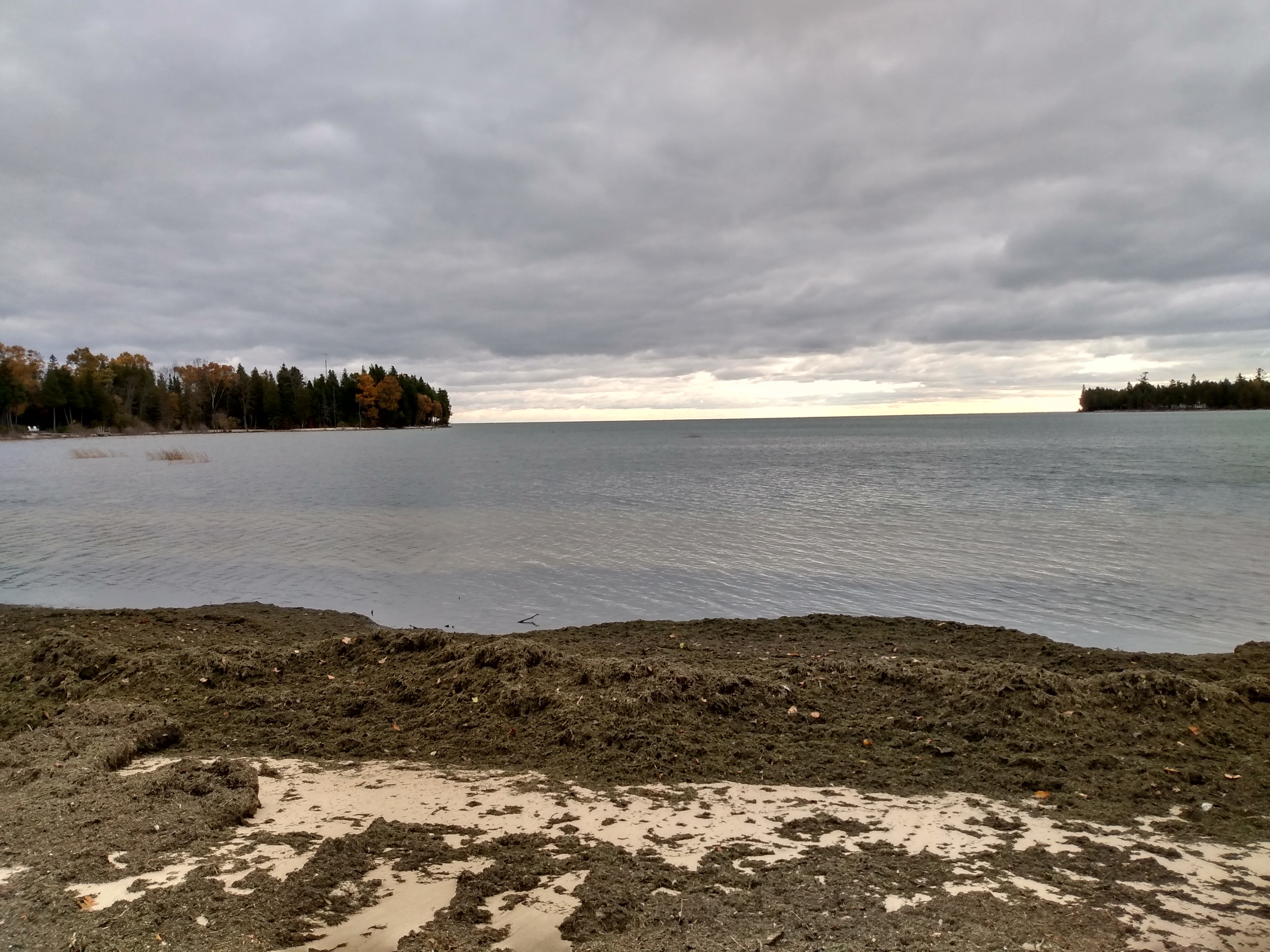state natural area poems #19: bailey’s harbor boreal forest and ...