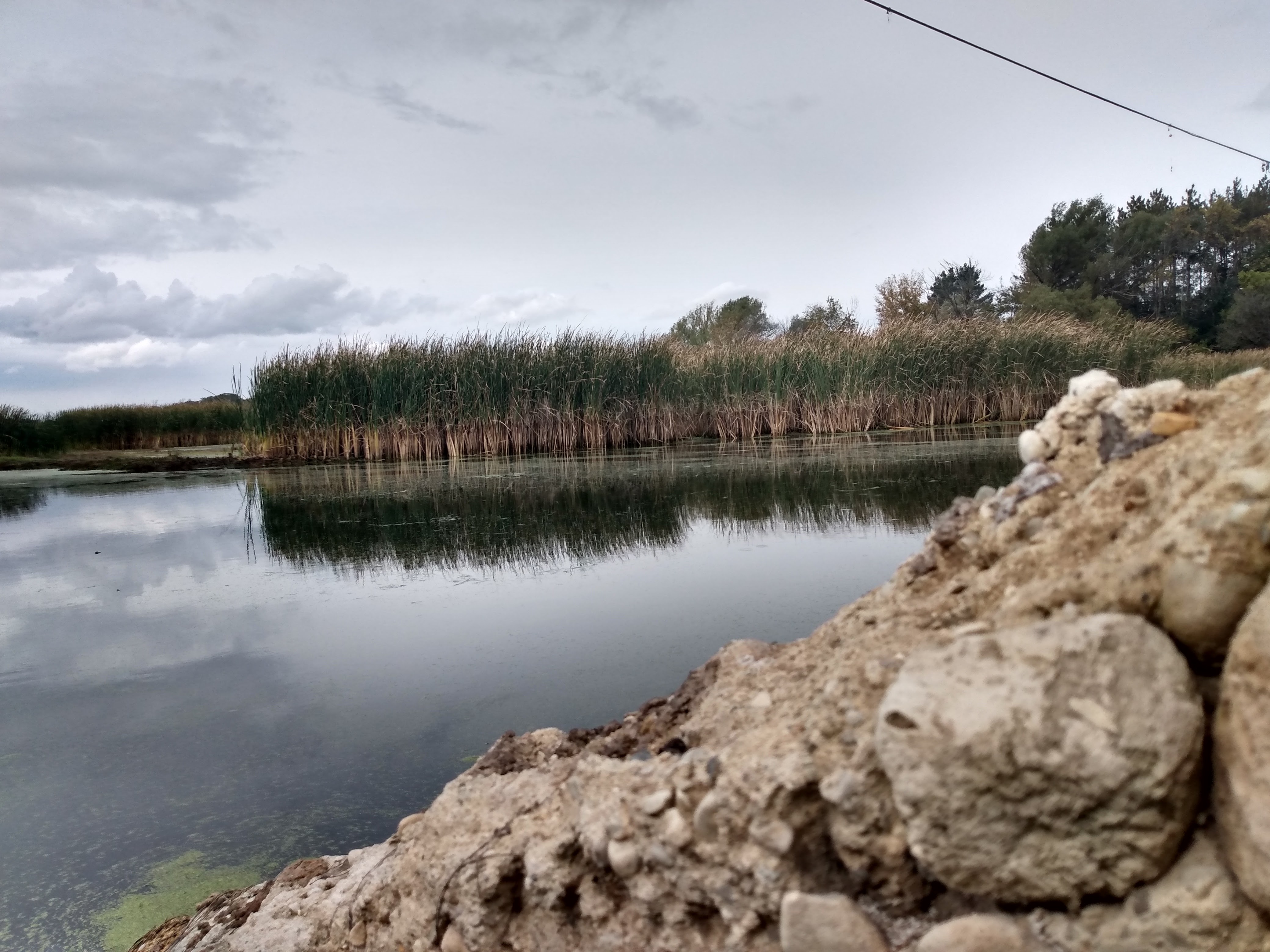 state natural area poems, supplementum anthropocenum #2: fox river at ...