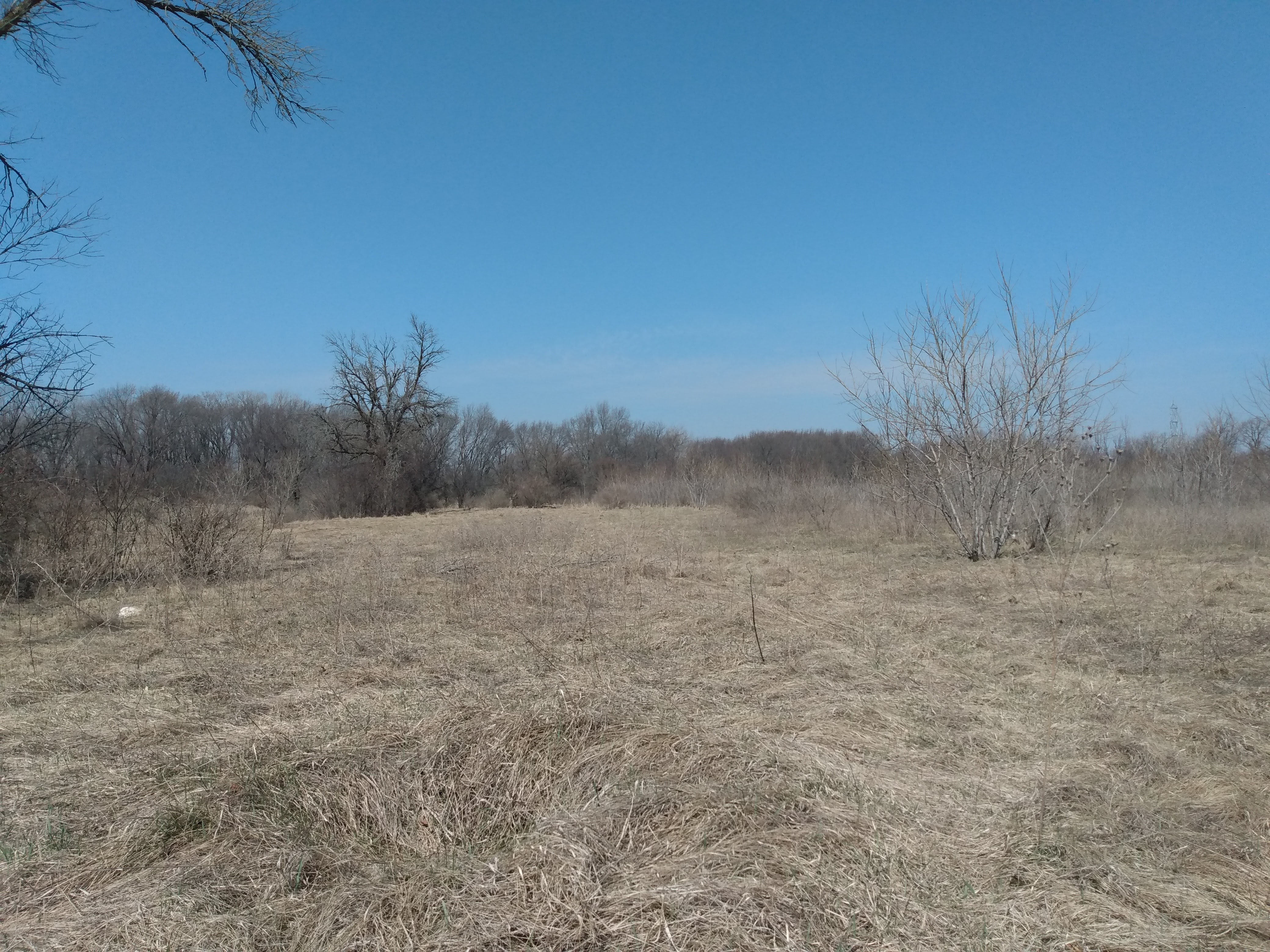 sna poems #70: young prairie | Jacob Riyeff