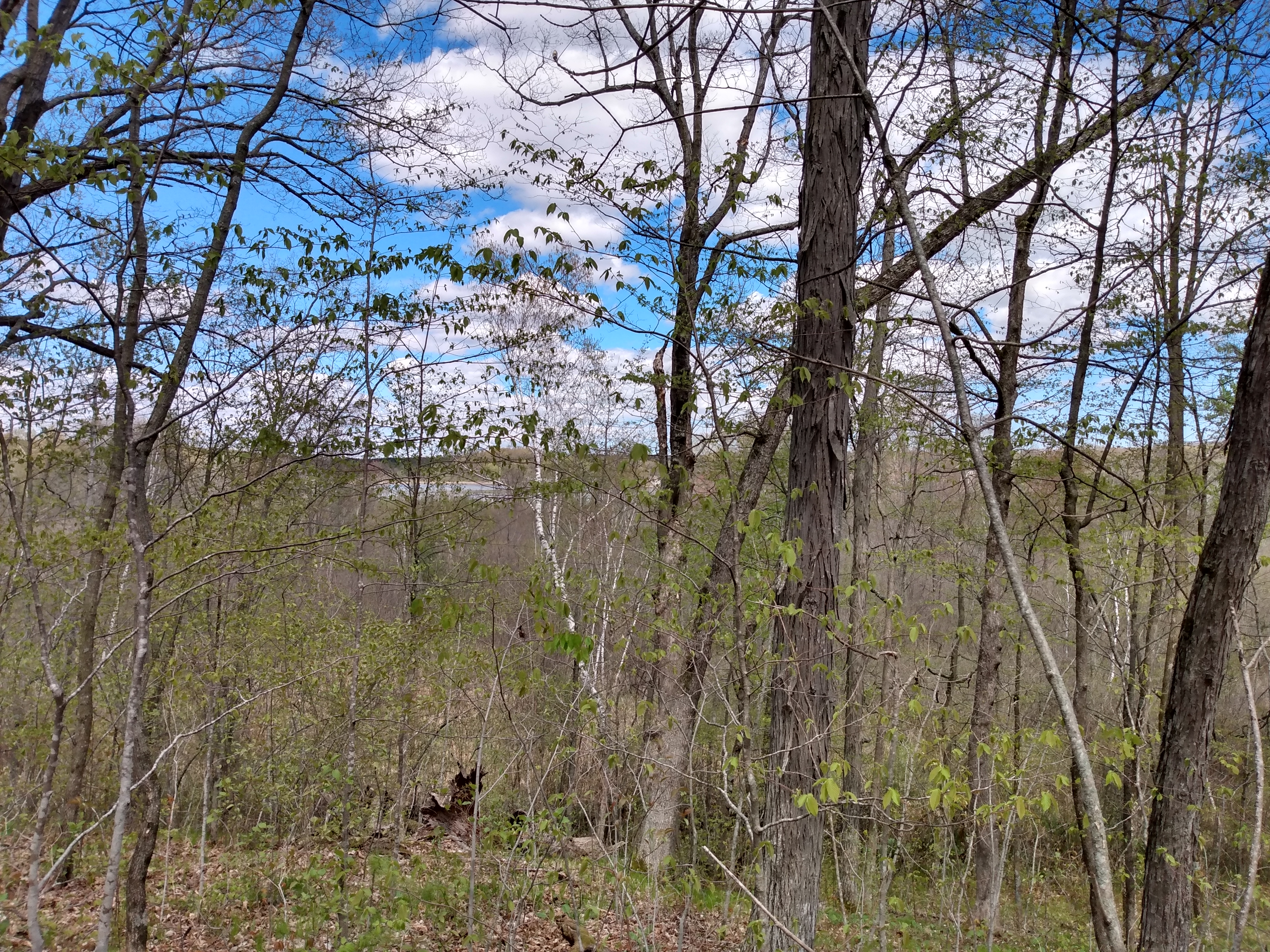 sna poems #79: crooked lake wetlands | Jacob Riyeff