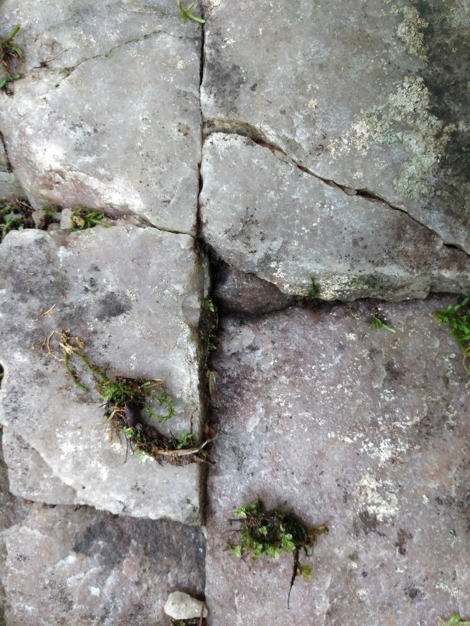 sna poems #80: waterloo quartzite outcrops | Jacob Riyeff