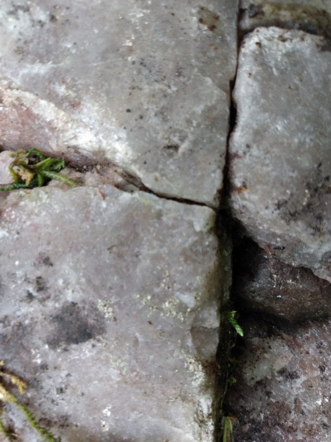 sna poems #80: waterloo quartzite outcrops | Jacob Riyeff