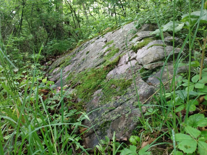 sna poems #80: waterloo quartzite outcrops | Jacob Riyeff