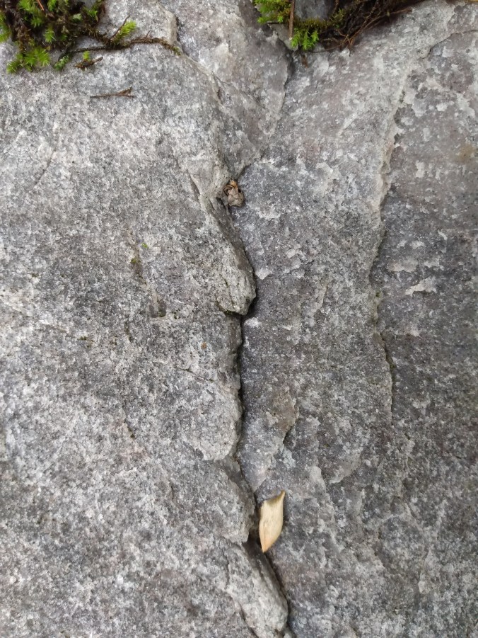 sna poems #80: waterloo quartzite outcrops | Jacob Riyeff