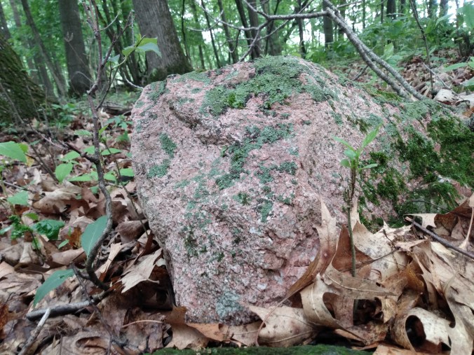 sna poems #80: waterloo quartzite outcrops | Jacob Riyeff