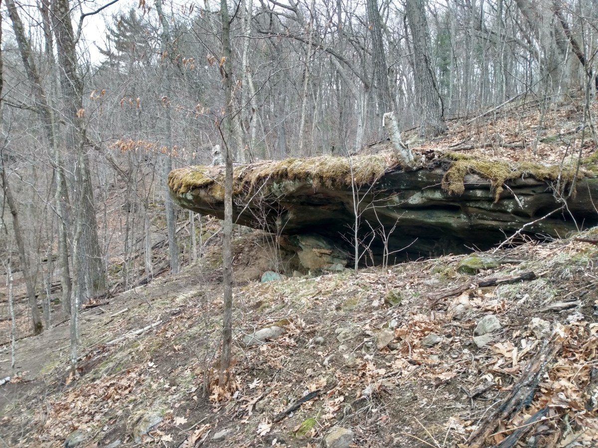 sna poems, #117: hemlock draw | Jacob Riyeff